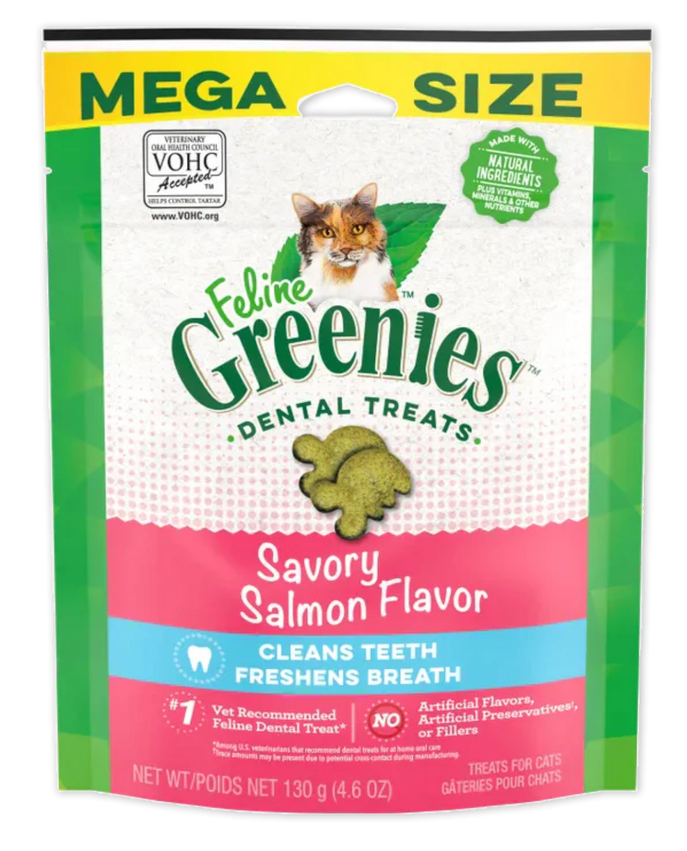 Pet PA | Cat Dental Care