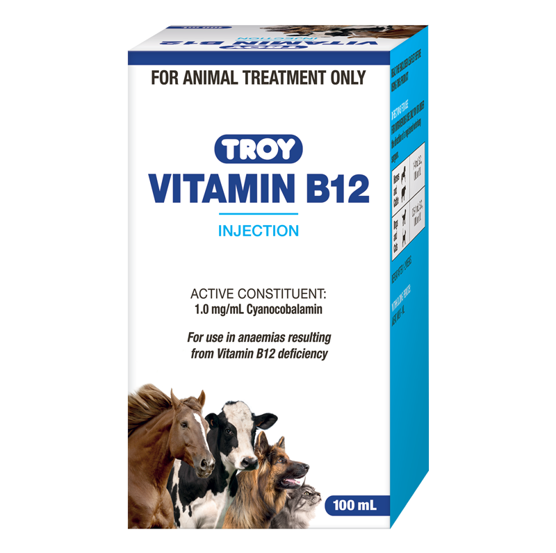 Vitamin B12 Injection 100ml