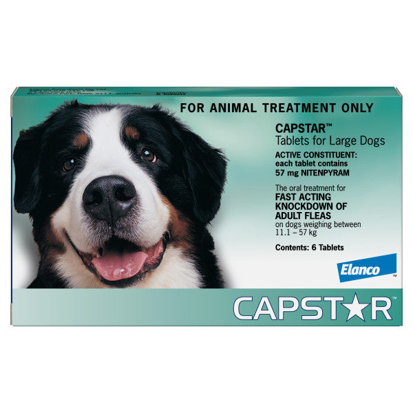 Capstar For Dogs Over 11kg (Green)