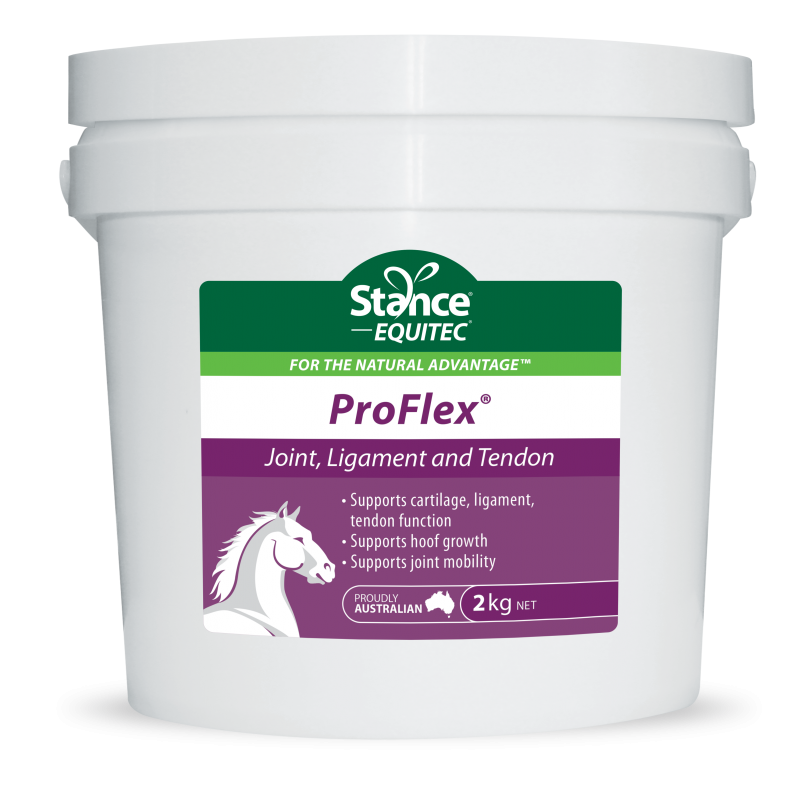 Stance Equitec Proflex For Horses