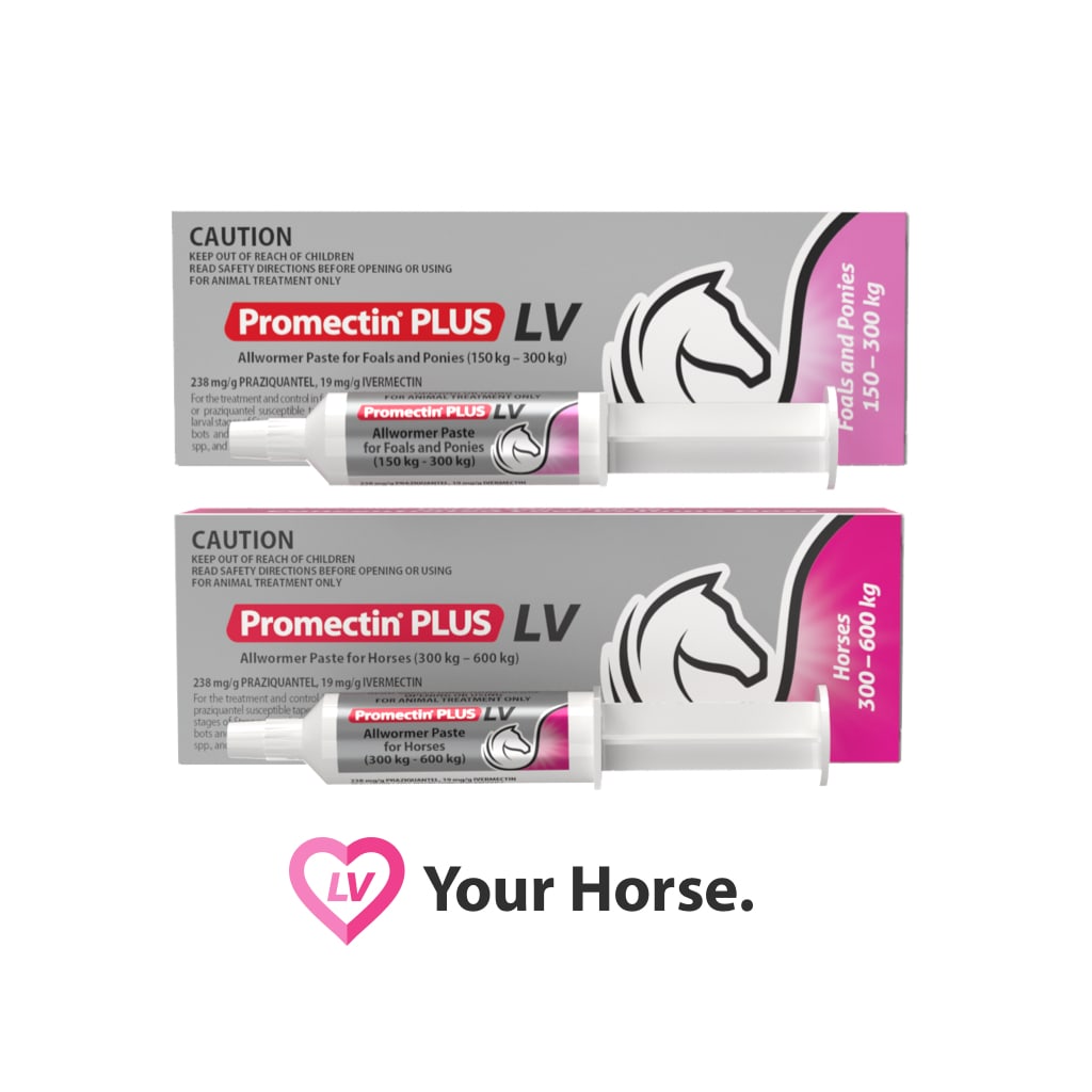 Jurox Promectin Plus LV Allwormer for Horses & Ponies