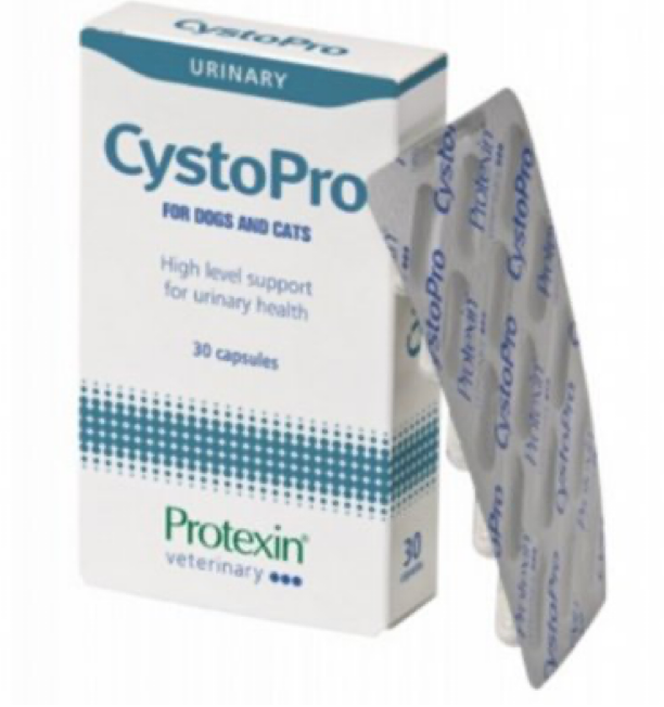 Cystopro Capsules For Dogs And Cats 30 Capsules – PetPA